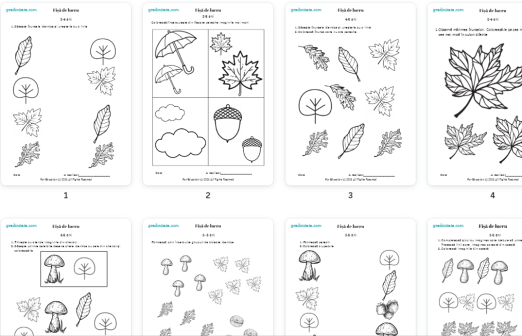 Fișe de lucru „Elemente specifice de toamnă” (14 fișe, 3-5 ani ...