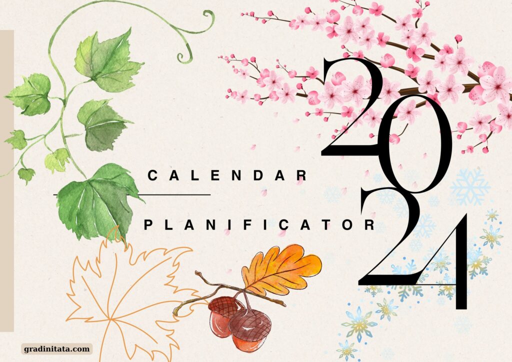 Calendar planificator 2024 Cod.AA0032VI – Grădinița ta